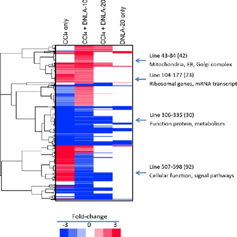 Two Dimensional Clustering Analysis Of Differentially Expressed Genes