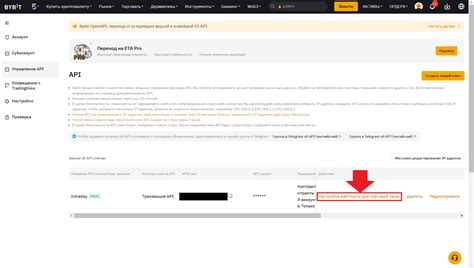 Как создать API ключи на криптовалютной бирже Bybit подробная инструкция