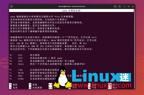 nano 8 0 发布，命令行文本编辑器迎来重大变革 linux迷