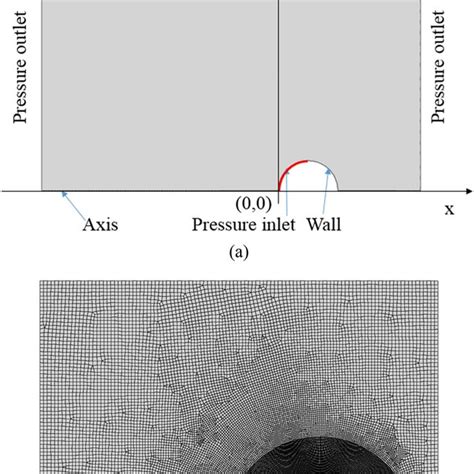Schematic Of A Computational Domain And B Meshing Download Scientific Diagram