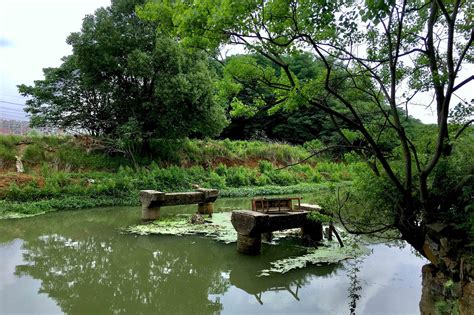 形形色色的桥【武汉 江夏区 汤逊藏龙岛国家湿地公园】 汤逊 藏龙岛 国家湿地公园 新浪新闻