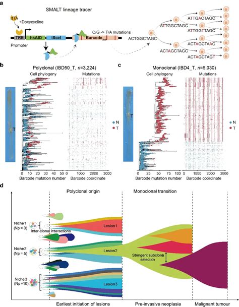 生信爱好者周刊（第 149 期）：人类细胞图谱计划 知乎