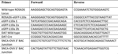 Table 1 From Single Cell Spatial Transcriptomic And Translatomic
