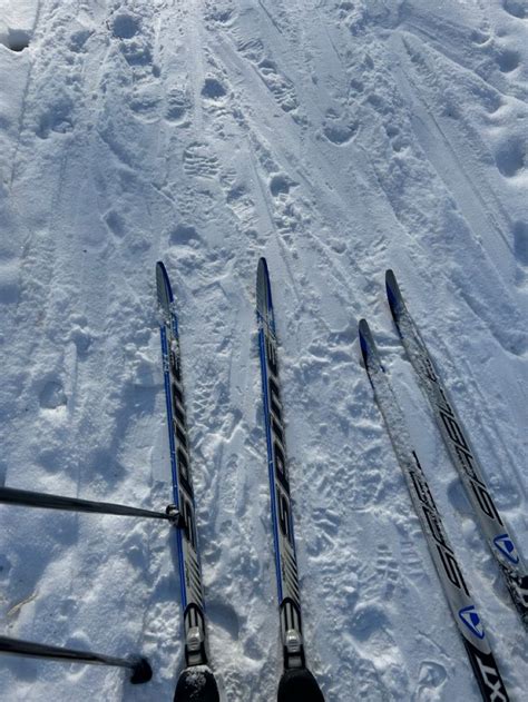 Пин от пользователя Наталия на доске Разное Разное