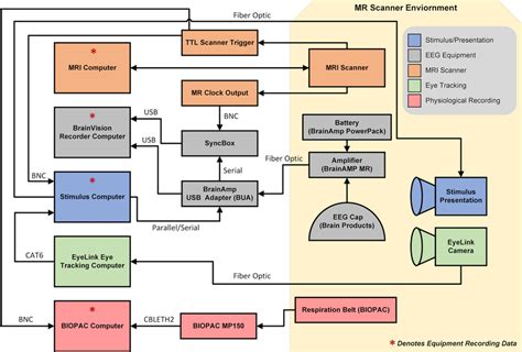 Schematic Of Eeg Fmri Setup Download Scientific Diagram