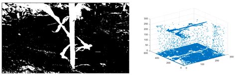 Maize Stem Contour Extraction And Diameter Measurement Based On Adaptive Threshold Segmentation