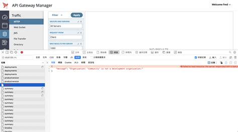 Traffic Monitor For Api Manager Administrator Operator Of Api Gateway Manager Is Invalid