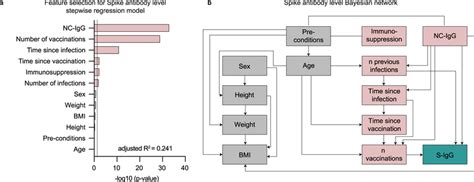 prediction of s igg levels a stepwise forward regression model for
