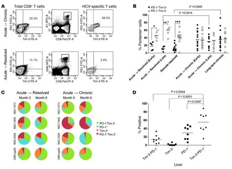 Jci Tim 3 Expression On Pd 1 Hcv Specific Human Ctls Is Associated With Viral Persistence