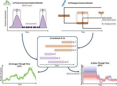 Extraction And Combination Of Inferred Times Of Speciation Ts And