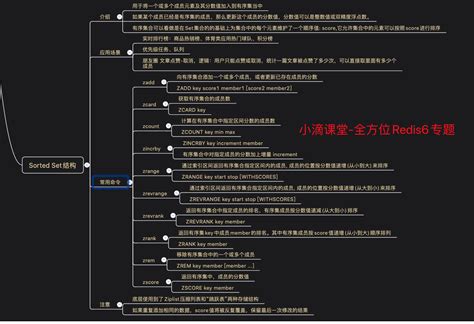 全方位redis6 x实战 超多案例 最佳实践