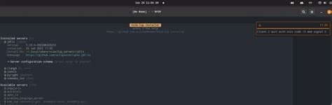 Error When Installing Lsp For Java Rlunarvim
