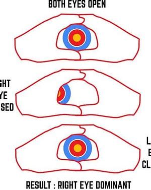How to Tell Which Eye is Your Dominant One » targetcrazy.com