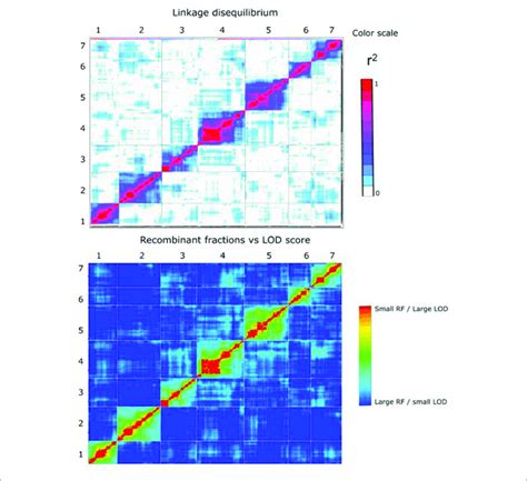 Heat Map At The Top Represents Linkage Disequilibrium Plot Pairwise R