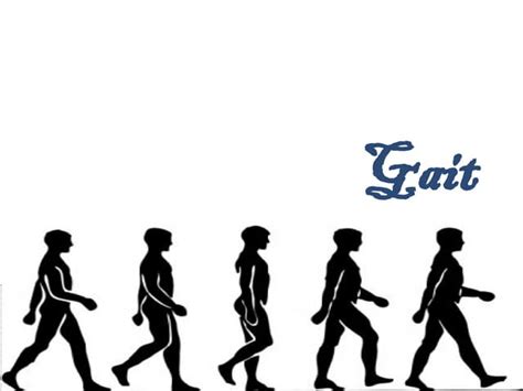 Kinetics And Kinematics Of Gait Cyclepptx
