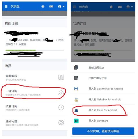 Ios端开源免费科学上网软件clash Mi Cootechs