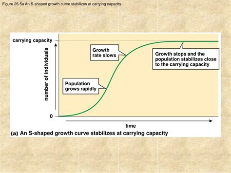 Ppt Population Growth And Regulation Powerpoint Presentation Free