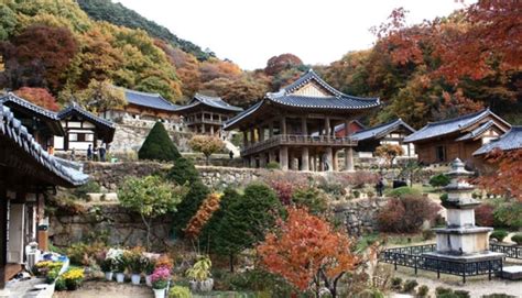 영주 출신 연예인 프로필 모음 아이돌 가수 배우 여배우 남배우 여자 배우 남자 배우 남자 연예인 여자 연예인 여가수 남가수 야구선수 축구선수 개그맨