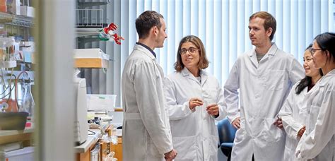 Department Of Cell Biology Nyu Langone Health