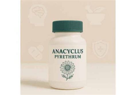 Anacyclus Pyrethrum Explained Health Benefits Optimal Use And Risks
