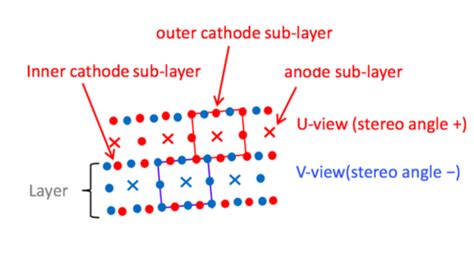 A Sketch Of The Drift Cells Within Two Alternating Sign Stereo Layers Download Scientific