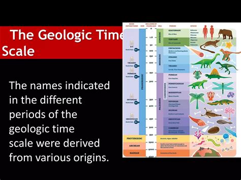 Quarter 4 Week 7 Defining And Identifying Subdivisions Of Geologic Time Scale Using Index Fossil