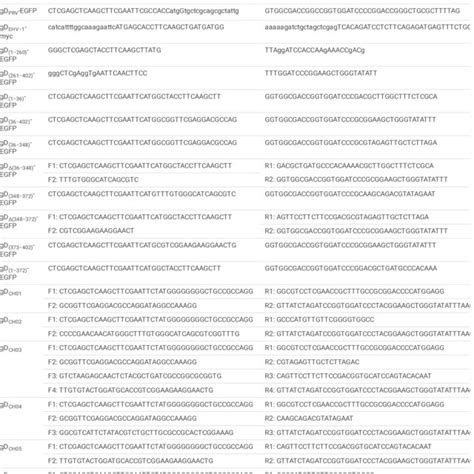 Primers For Constructing Recombinant Plasmids Download Scientific Diagram