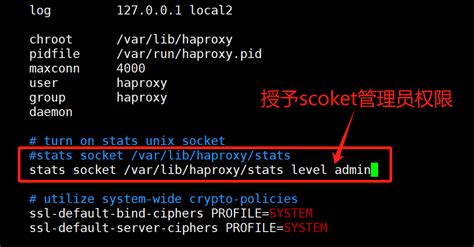 Haproxy 实验指南：从零开始搭建高可用负载均衡系统 技术栈