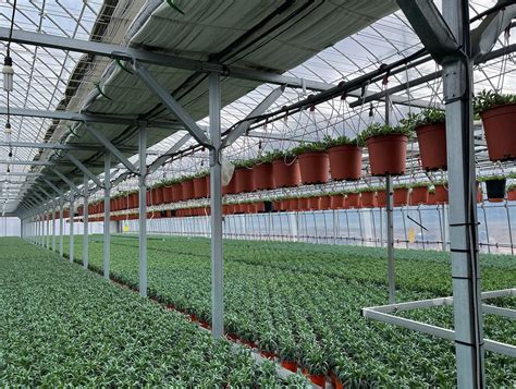 화단👩🏻‍🌾 오 필름카메라 감성📷🎞 흐린날의 색도 좋네요 그래도 꽃들을 위해 해☀️ 떠야해 그냥 찍었는데 넘 맘에 드는 사진이에요~ ㅎㅎ 저 Instagram