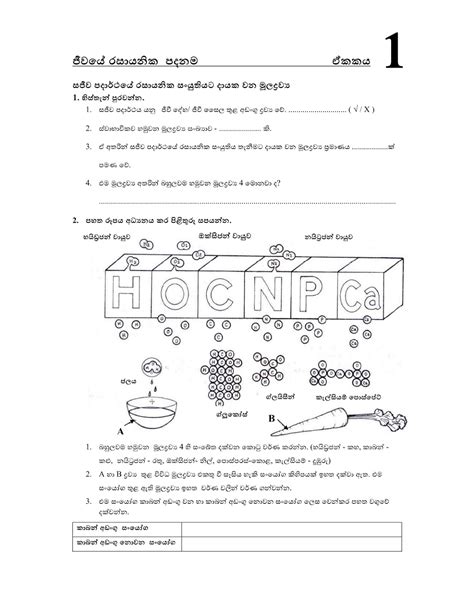 10 ශ්‍රේණිය විද්‍යාව ජීවයේ රසායනික පදනම