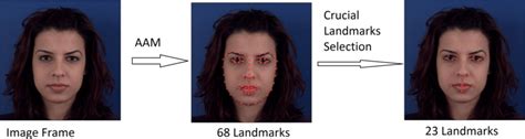 Informative Landmarks Detection From Single Face Frame Download Scientific Diagram
