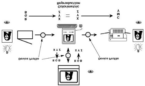 Device Independent Color Reproduction Colorimetric Color Reproduction Download Scientific