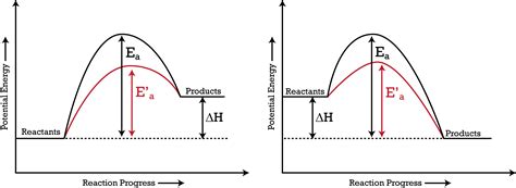 Endothermic Reaction Graph With Catalyst