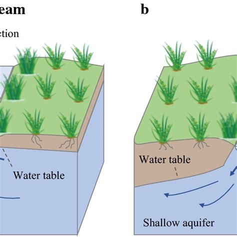 The Two Type Of Interactions Between Sw And Gw Download Scientific