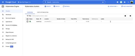 Gcp Gke Pulumi Py Ctoai Product Docs