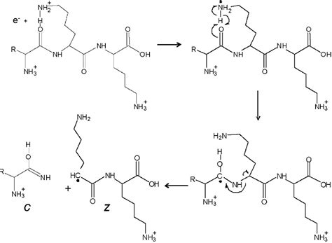 Figure 2 From The Utility Of Etd Mass Spectrometry In Proteomic
