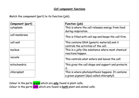 cell components match up sen teaching resources