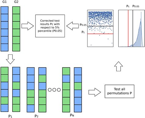 permutation procedure for groups g1 and g2 we create new random