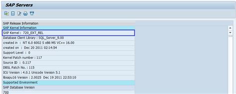 SAP BASIS Kernel Upgrade