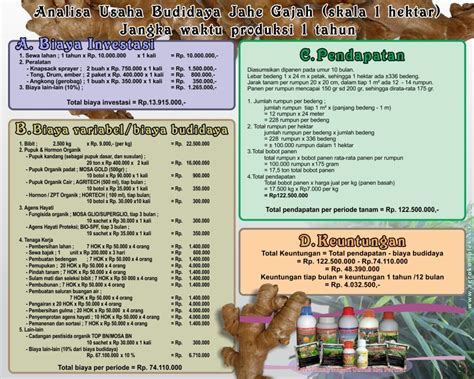 Budidaya Jahe Agrokompleks Kita