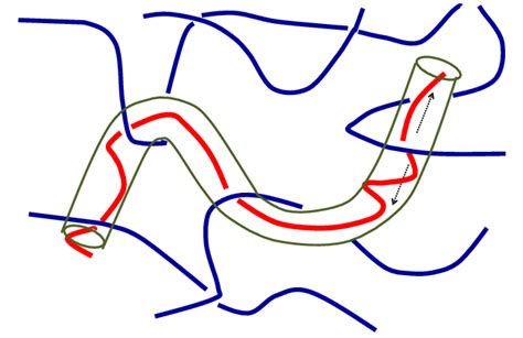8 Schematic Illustration Of An Entanglement Reptation Tube The Red
