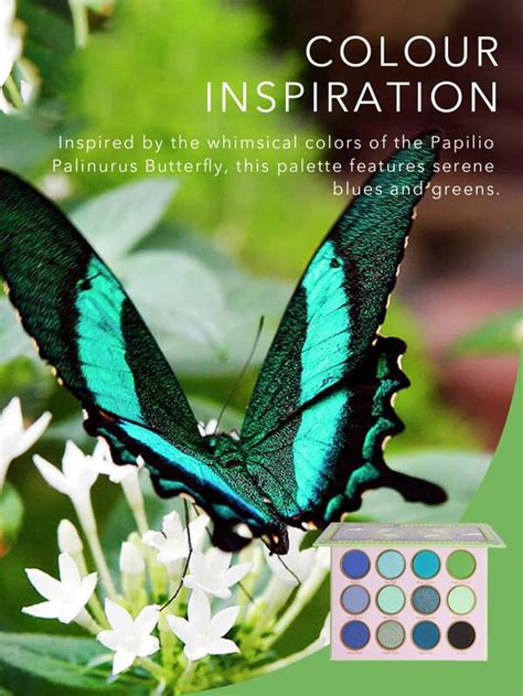 Sheglam Flutter Effect Palette 12 Clolor Glitter Matte Eyeshadow Palette Metallic Bold Color