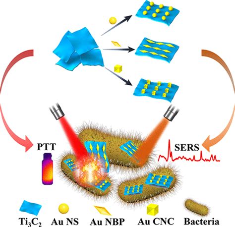 Self Assembled Mxene Au Multifunctional Nanomaterials With Various
