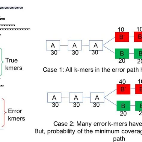 De Bruijn Graph Construction And K Mer Count Download Scientific Diagram