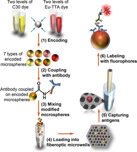 Multiplexed Fluorescent Microarray For Human Salivary Protein Analysis Using Polymer