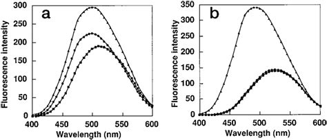 Binding Of The Calmodulin Binding Domain Peptides Derived From Inos And Download Scientific