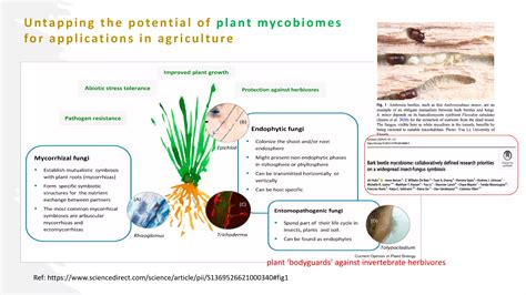 Environmental Dna Edna Analysis And Applications Pdf