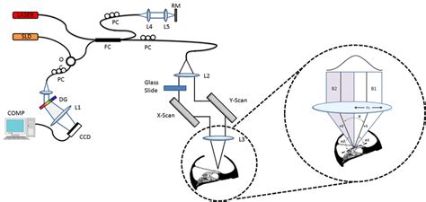 A Experimental Setup Of Dual Angle Delay Encoded Spectral Domain