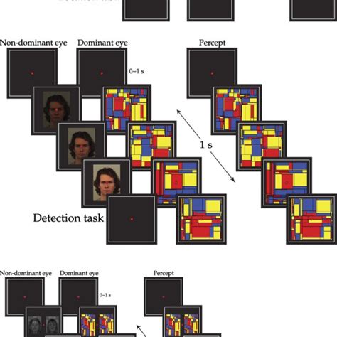 Procedure And Stimuli In Experiments 1 Top 2 Middle And 3 Bottom