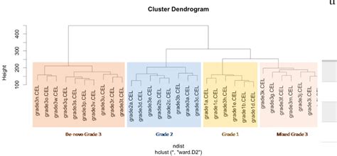 Cluster Tree Of Ward Linkage And Euclidean Distance Of Normalized Download Scientific Diagram